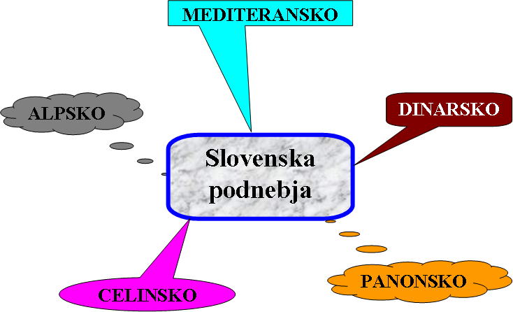 6. vaja - miselni vzorec